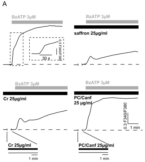 Saffron: Chemical Composition and Neuroprotective Activity