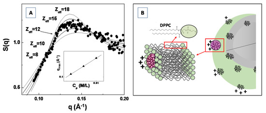 Structural Characterization of Biomaterials by Means of Small Angle X ...