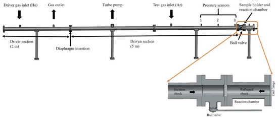 Shock Processing of Amino Acids Leading to Complex Structures ...