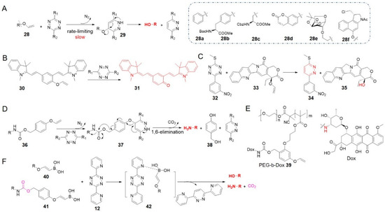 Activation and Delivery of Tetrazine-Responsive Bioorthogonal Prodrugs