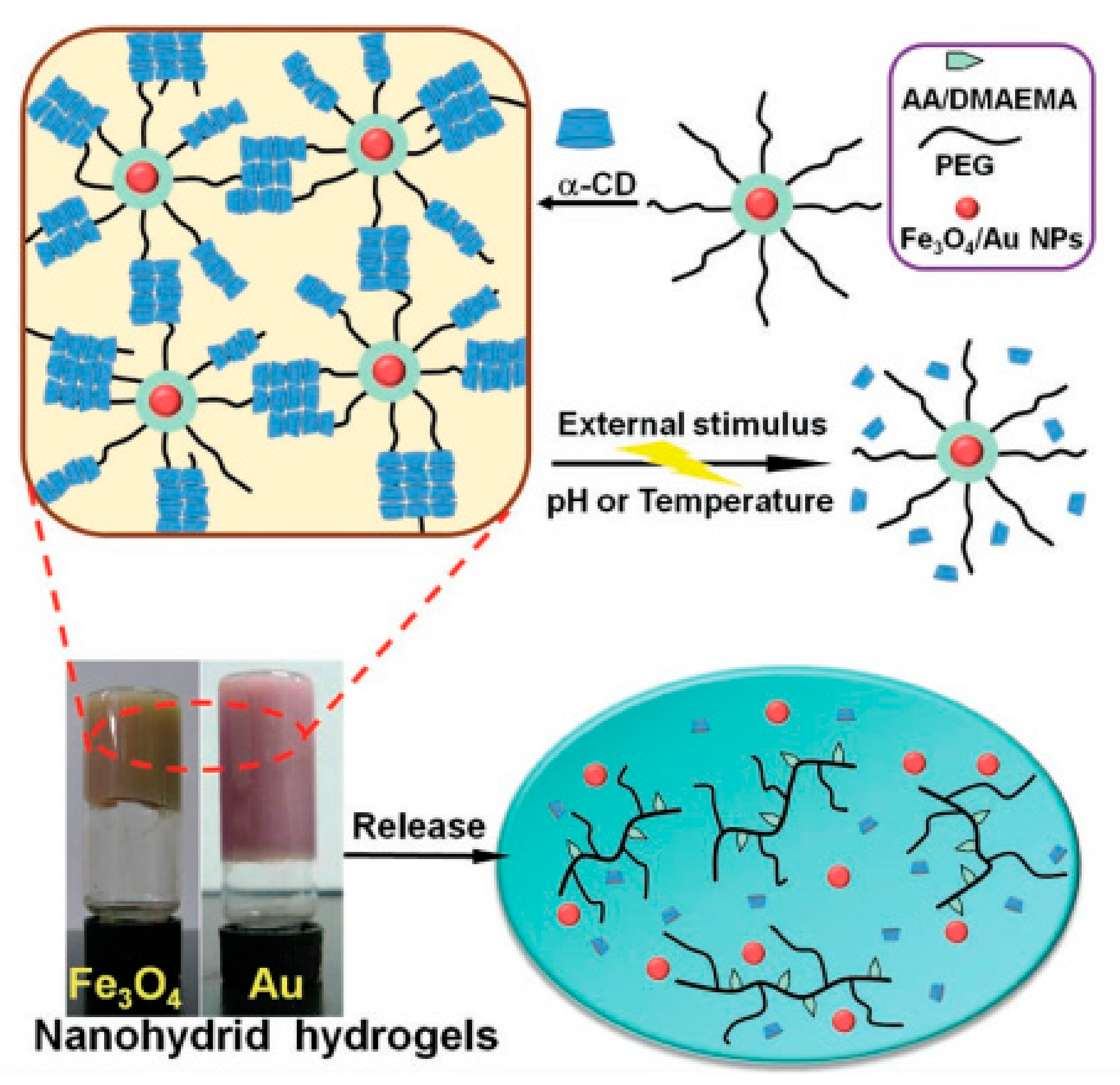 pH-Sensitive Biomaterials for Drug Delivery