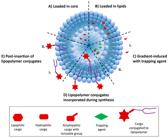 Recent Progress in Bioconjugation Strategies for Liposome-Mediated Drug ...
