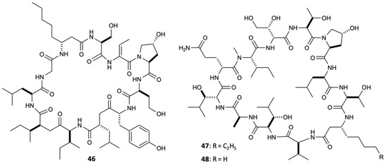 Marine-Derived Compounds and Prospects for Their Antifungal Application
