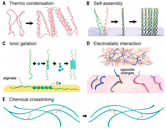 Natural-Based Hydrogels for Tissue Engineering Applications