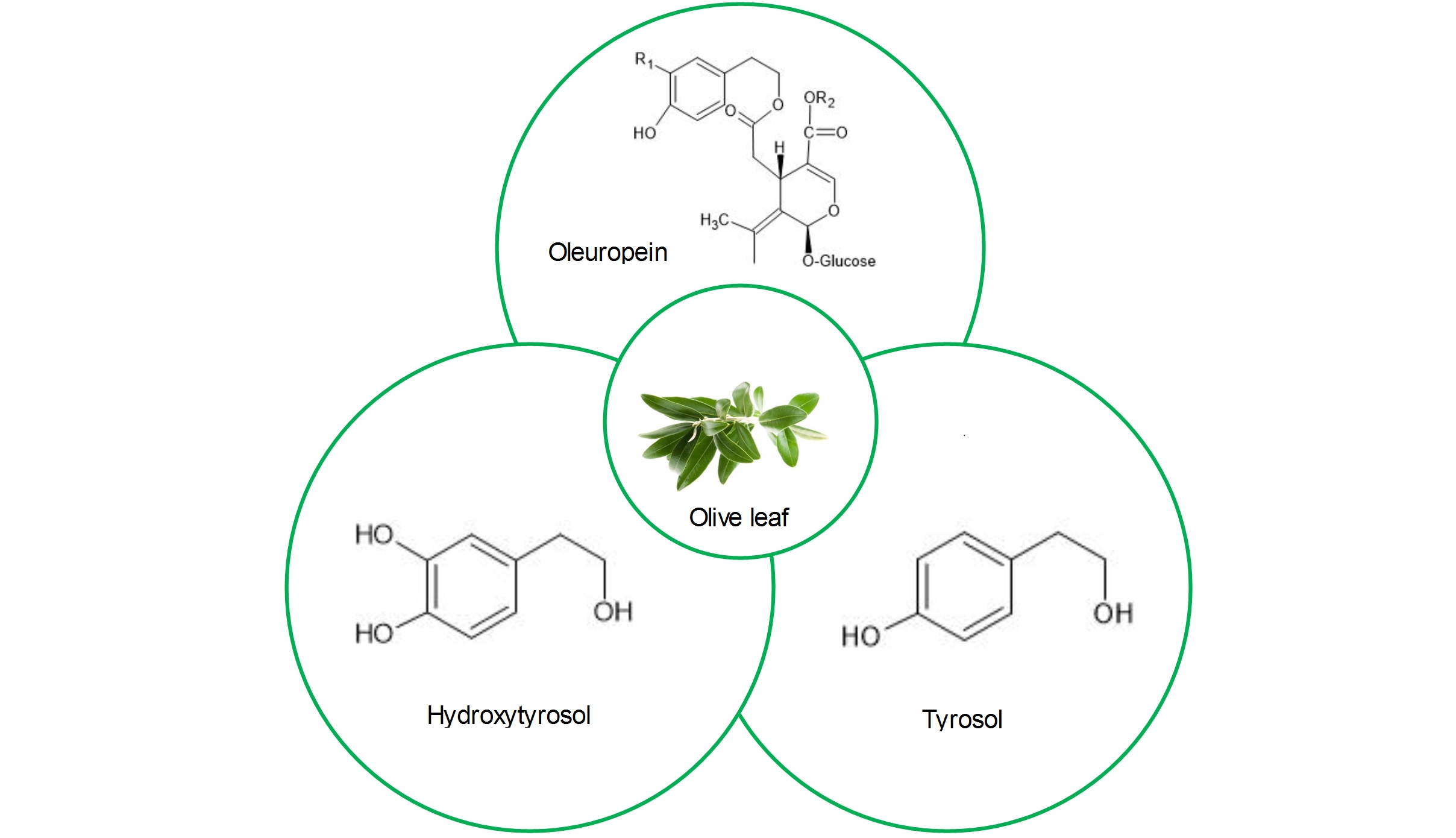 Molecules | Free Full-Text | Microbiological and Antioxidant Activity ...