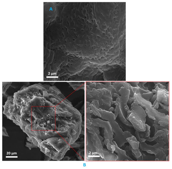 Molecules | Free Full-Text | Biochar-Based Graphitic Carbon Nitride ...