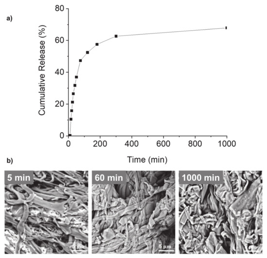 Electrohydrodynamic Processing of Potato Protein into Particles and Fibers