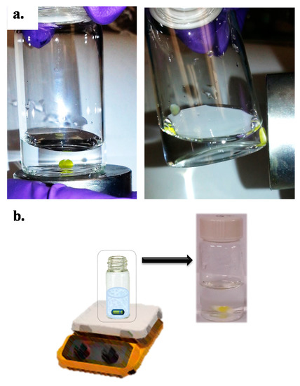 Efficient Low-Cost Procedure for Microextraction of Estrogen from ...