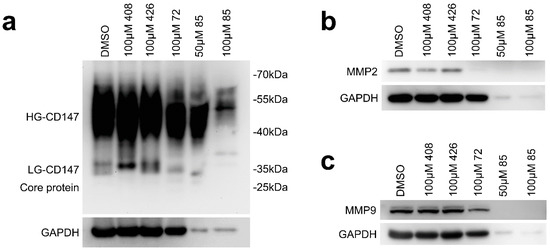 Discovery and Biological Evaluation of CD147 N-Glycan Inhibitors: A New ...