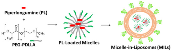 Micelle-in-Liposomes for Sustained Delivery of Anticancer Agents That ...