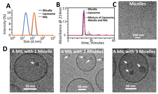 Micelle-in-Liposomes for Sustained Delivery of Anticancer Agents That ...