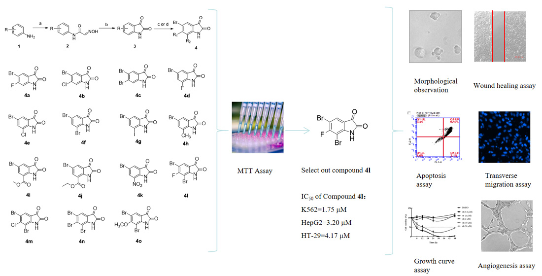 Molecules | Free Full-Text | Synthesis and Antiproliferatory Activities ...