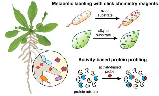 Molecules | Special Issue : 25th Anniversary of Molecules—Recent ...