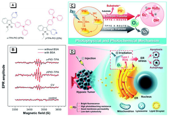 Aggregation-Induced Generation of Reactive Oxygen Species: Mechanism ...