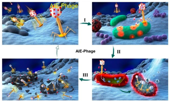 Aggregation-Induced Generation of Reactive Oxygen Species: Mechanism ...