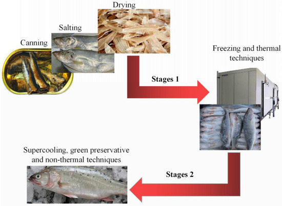 Synergistic Antimicrobial Effectiveness of Plant Essential Oil and Its ...