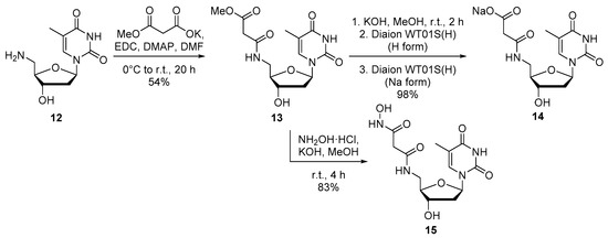 Probing the Binding Requirements of Modified Nucleosides with the DNA ...