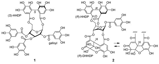 Ellagitannins and Oligomeric Proanthocyanidins of Three Polygonaceous ...