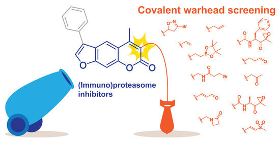 Molecules | Free Full-Text | Synthesis and Biochemical Evaluation of ...