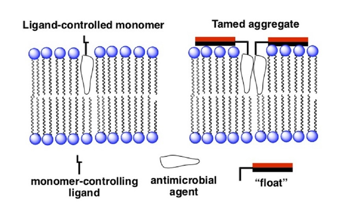 Molecules | Free Full-Text | Improving the Cellular Selectivity of a ...