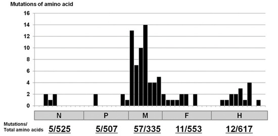 Advances in Antiviral Therapy for Subacute Sclerosing Panencephalitis
