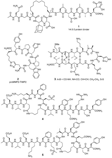 Modulating Protein–Protein Interactions by Cyclic and Macrocyclic ...