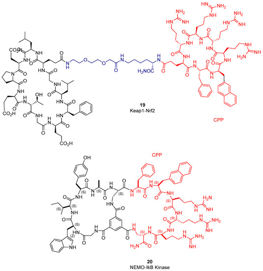 Modulating Protein–Protein Interactions by Cyclic and Macrocyclic ...