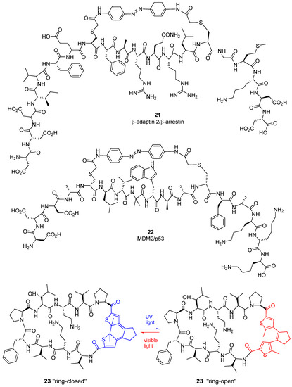 Modulating Protein–Protein Interactions by Cyclic and Macrocyclic ...