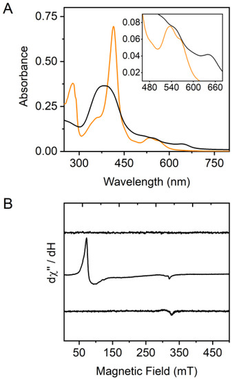 Heme Binding to HupZ with a C-Terminal Tag from Group A Streptococcus