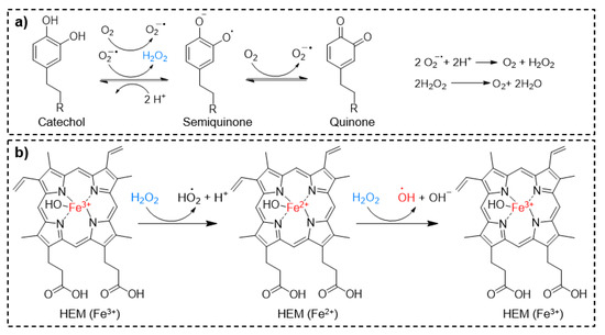 Catechol-Based Antimicrobial Polymers