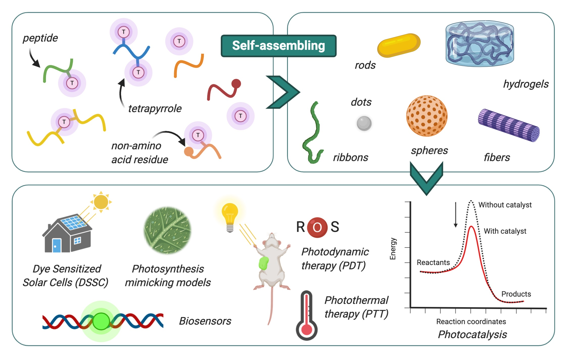 Molecules | Free Full-Text | Peptide-Tetrapyrrole Supramolecular Self ...