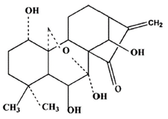 An Insight into the Anti-Angiogenic and Anti-Metastatic Effects of ...