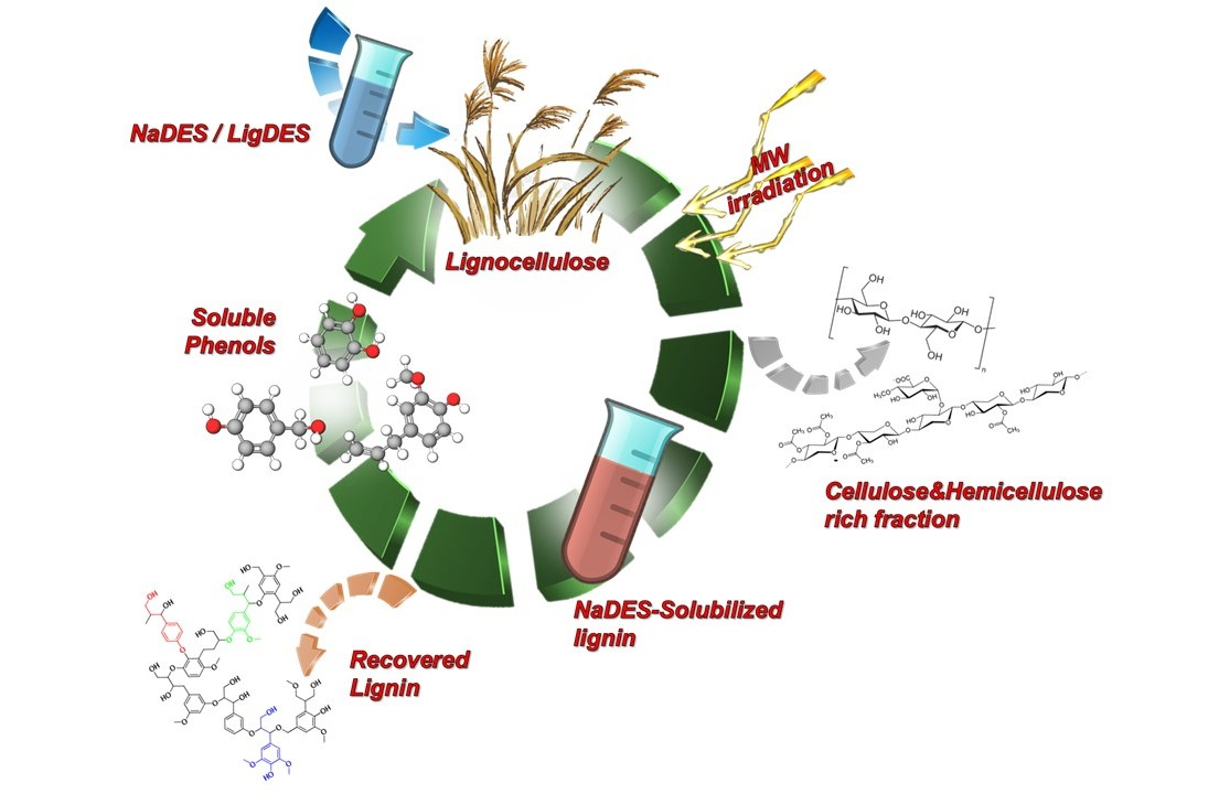 Molecules Free Full Text Green Deep Eutectic Solvents For Microwave Assisted Biomass