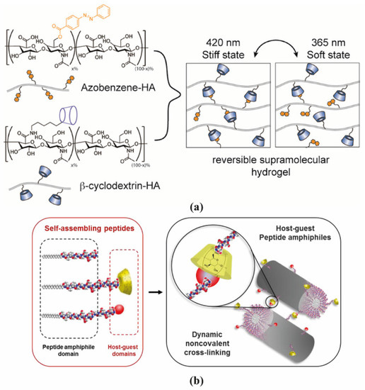 Supramolecular Hydrogels for Protein Delivery in Tissue Engineering