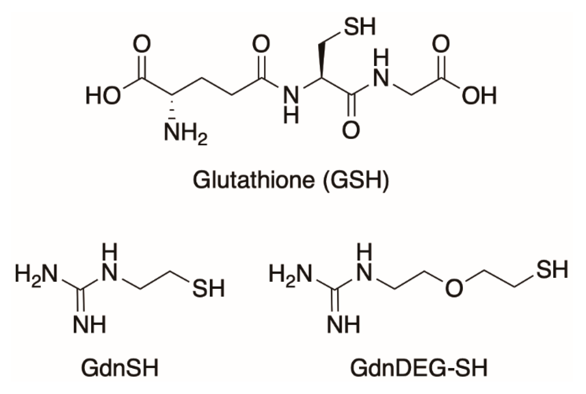 Sulfhydryl Structure