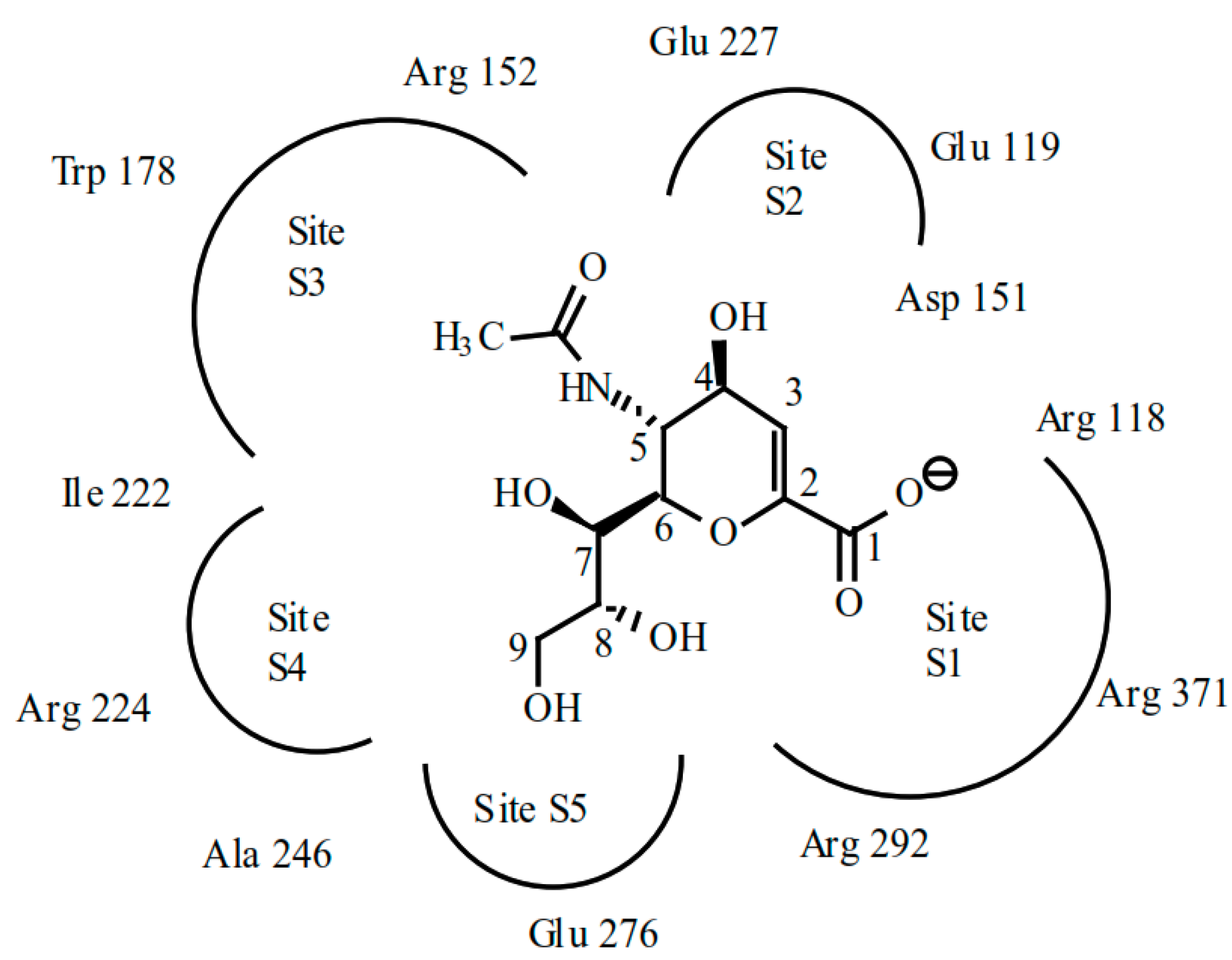 Influenza Viruses: Harnessing the Crucial Role of the M2 Ion-Channel ...