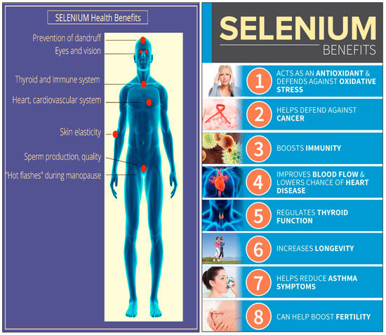 Selenium Biofortification: Roles, Mechanisms, Responses and Prospects