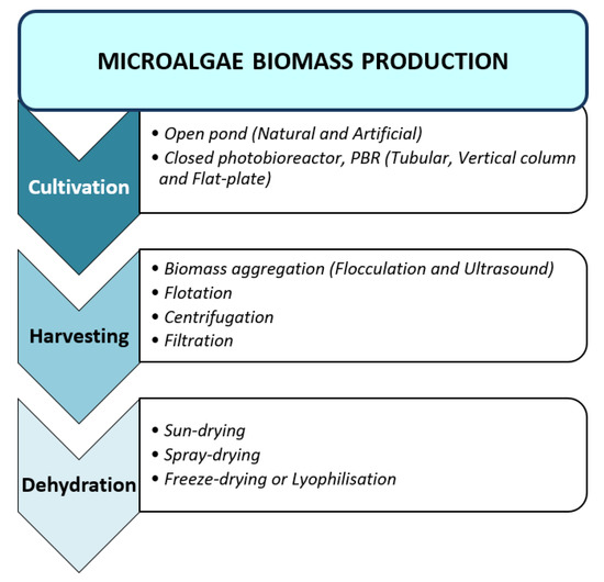 Isolation of Industrial Important Bioactive Compounds from Microalgae