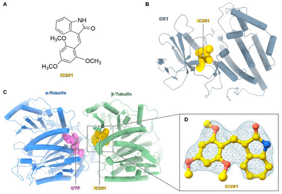 A Rationale for Drug Design Provided by Co-Crystal Structure of IC261 ...