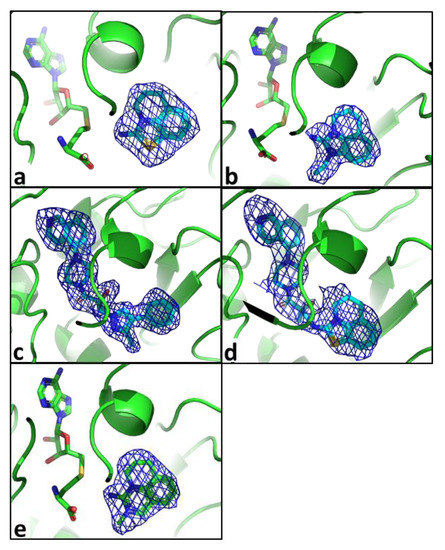Novel Inhibitors of Nicotinamide-N-Methyltransferase for the Treatment ...