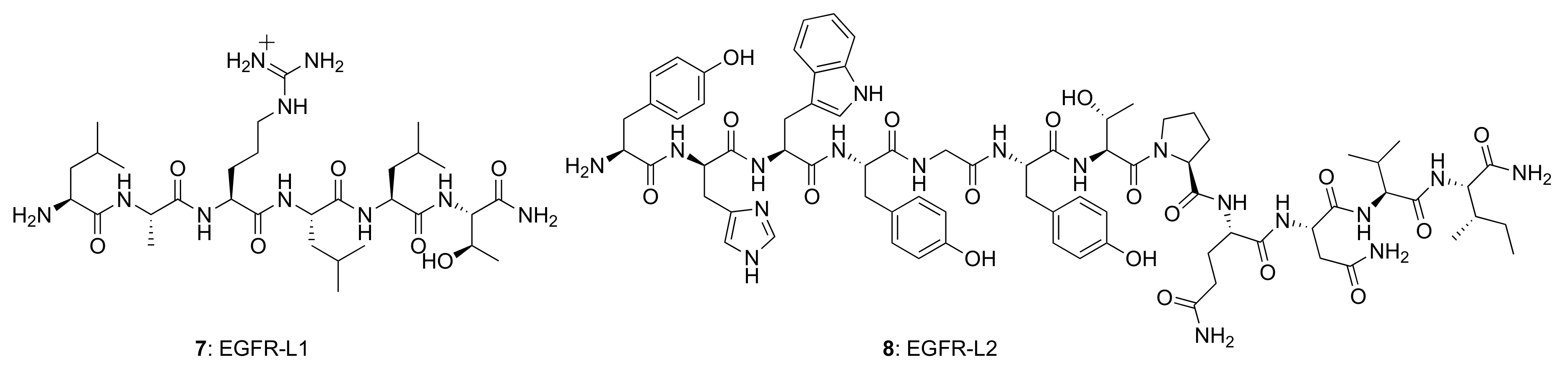 Molecular Targeting of Epidermal Growth Factor Receptor (EGFR) and ...