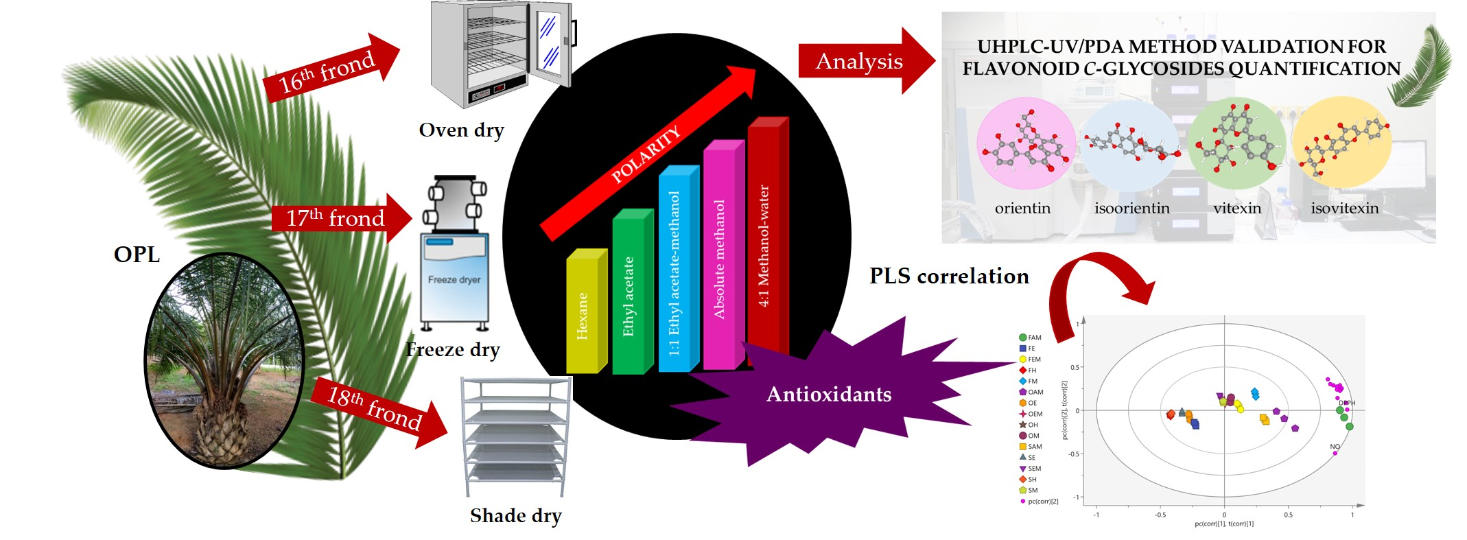 Molecules | Free Full-Text | UHPLC-UV/PDA Method Validation for ...
