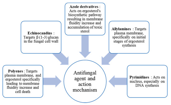 Antifungal Properties of Essential Oils and Their Compounds for ...