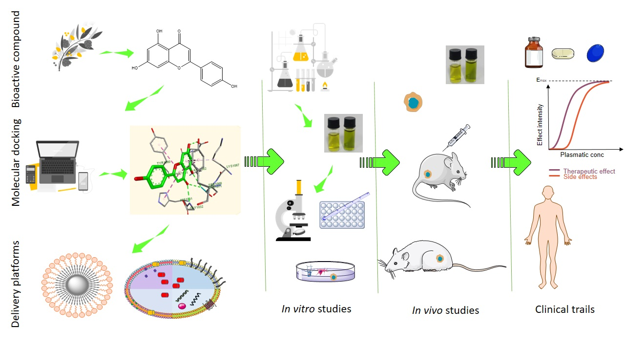 Molecules | Free Full-Text | Plant-Derived Anticancer Compounds as New ...