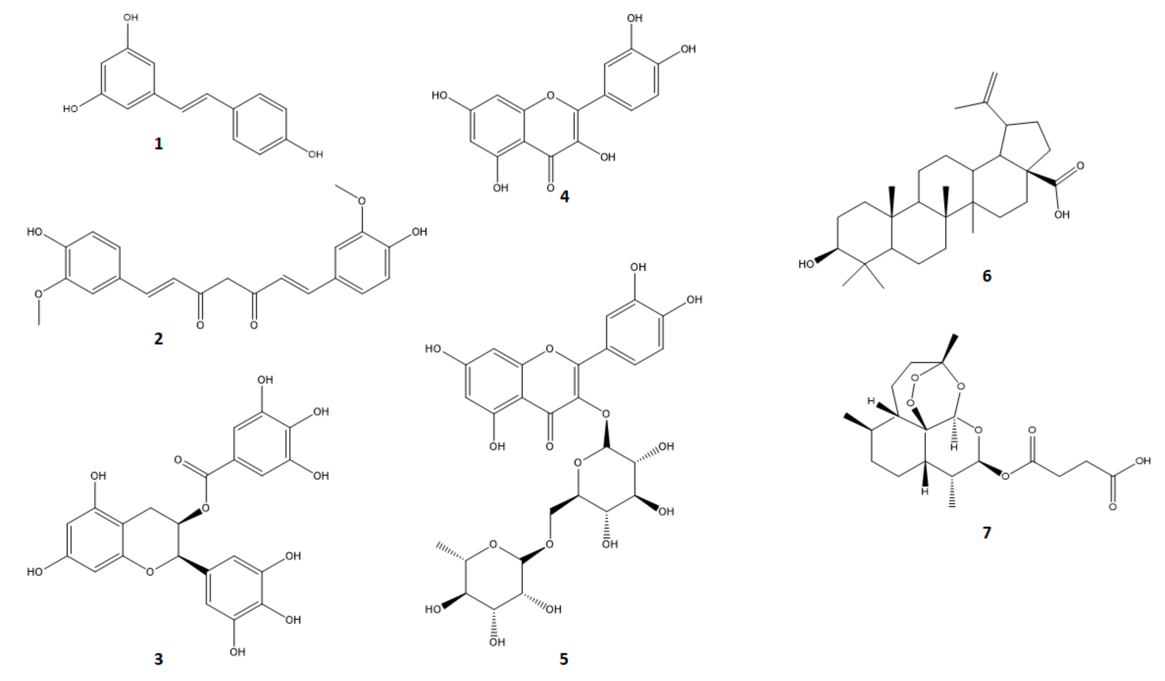 Molecules Free Full Text Plant Derived Anticancer Compounds As New