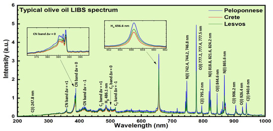 Classification of Greek Olive Oils from Different Regions by Machine ...