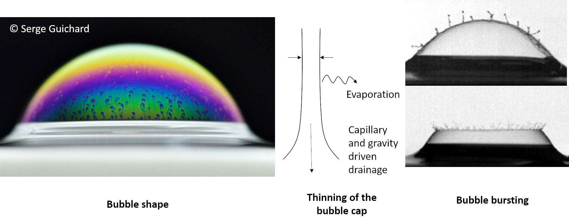 Molecules | Free Full-Text | The Life of a Surface Bubble