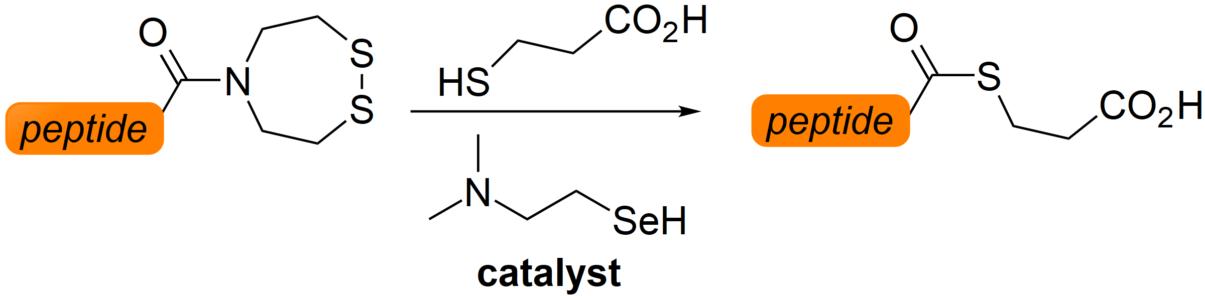 Molecules | Free Full-Text | Insights into the Mechanism and Catalysis ...
