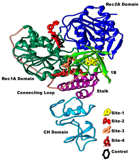 Structure-Based Virtual Screening Identifies Multiple Stable Binding ...