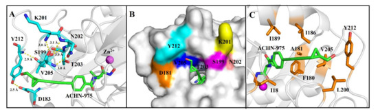 The Complex Structure of Protein AaLpxC from Aquifex aeolicus with ACHN ...